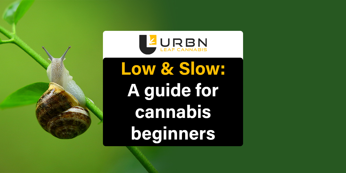 Low & Slow: A guide for cannabis beginners - URBN Leaf Cannabis