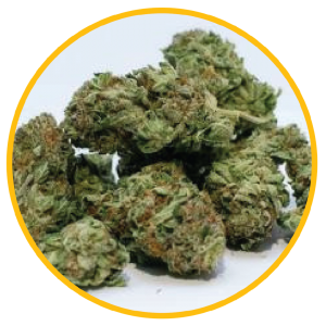 Home | URBN Leaf Cannabis